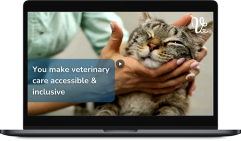 Learn how we revolutionize the veterinary profession | VetBilling